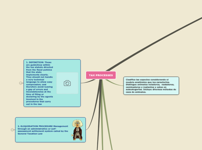 TAX PROCESSES - Mind Map