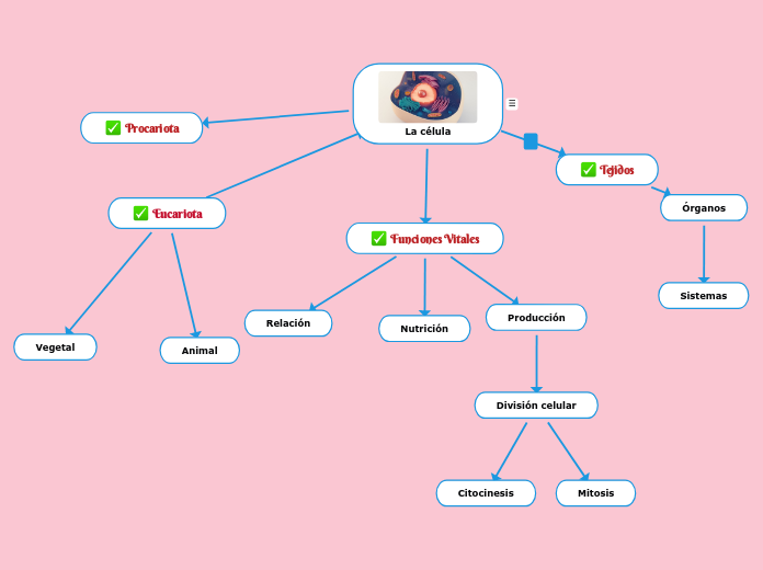 La célula - Mind Map