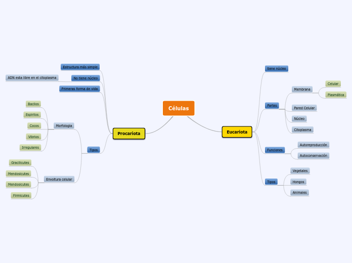 Células - Mind Map