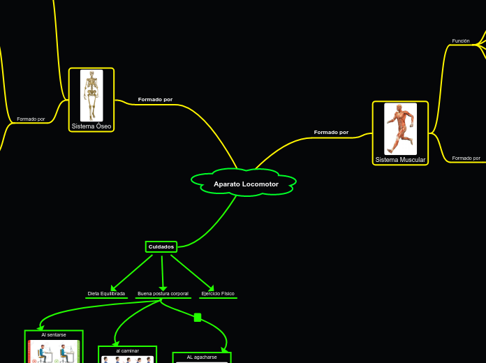 Aparato Locomotor - Mind Map