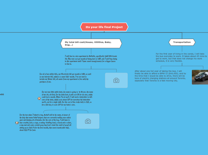Its your life final Project - Mind Map