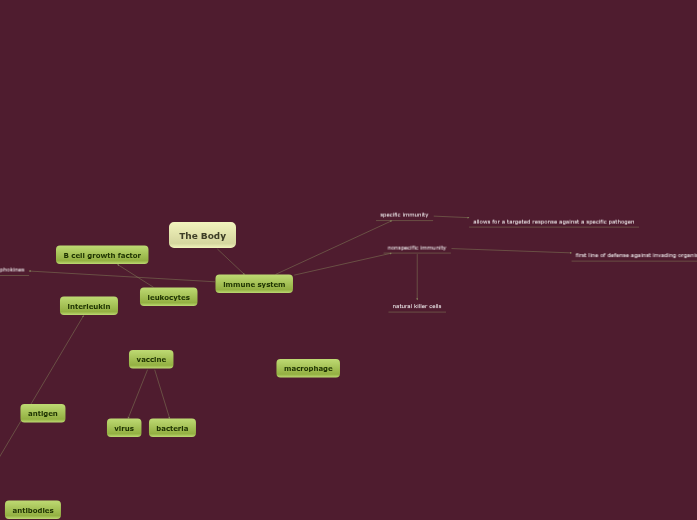 Bio - Mind Map