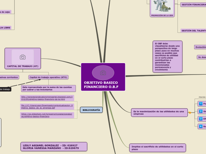 OBJETIVO BASICO FINANCIERO O.B.F - Mind Map