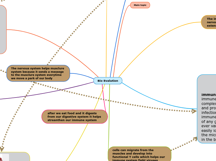 Bio Evalution - Mind Map