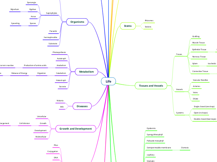 Life - Mind Map