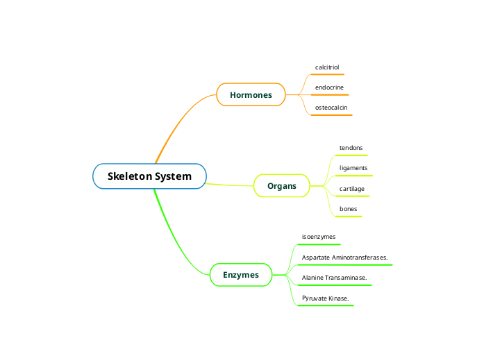 Skeleton System - Mind Map