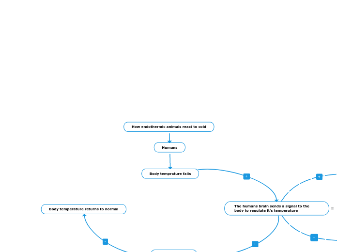 How endothermic animals react to cold - Mind Map