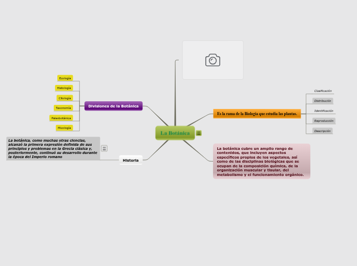 La Botánica - Mind Map