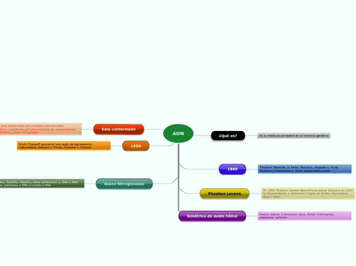 ADN - Mind Map