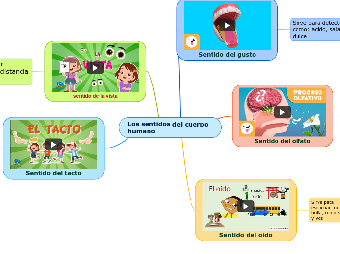 Los sentidos del cuerpo humano - Mind Map