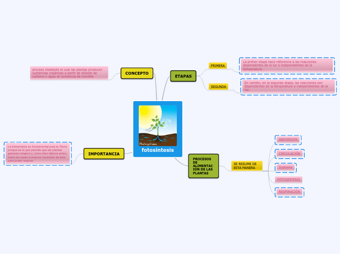fotosíntesis - Mind Map