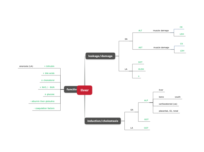 vet clin path - liver & muscle - Mind Map