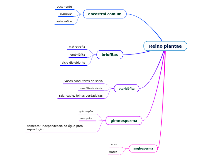 Reino plantae - Mind Map