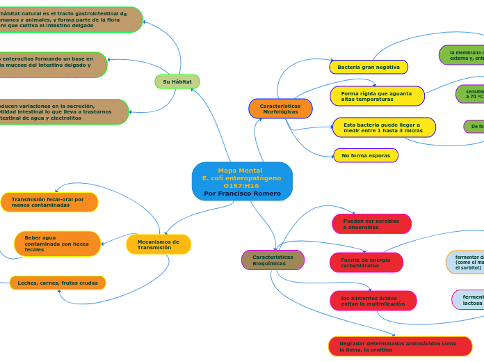 Mapa Mental E. coli enteropatógeno O157:...- Mind Map