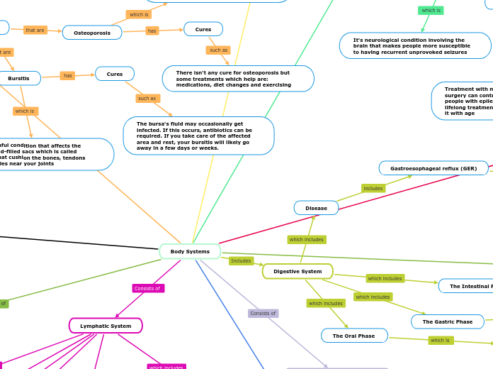 Body Systems - Mind Map