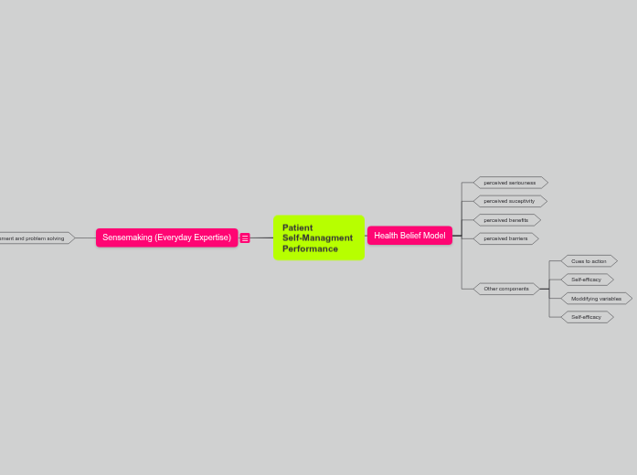Patient SM Health Behavior concepts - Mind Map