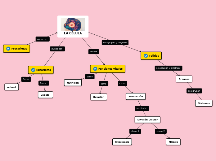 LA CÉLULA - Mind Map