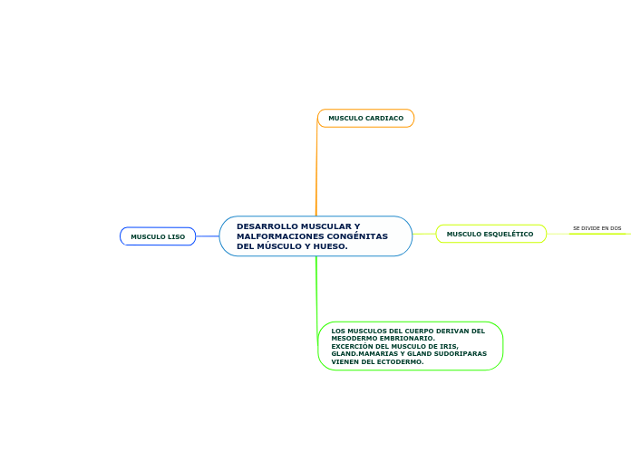 DESARROLLO MUSCULAR Y MALFORMACIONES CONGÉ...- Mind Map
