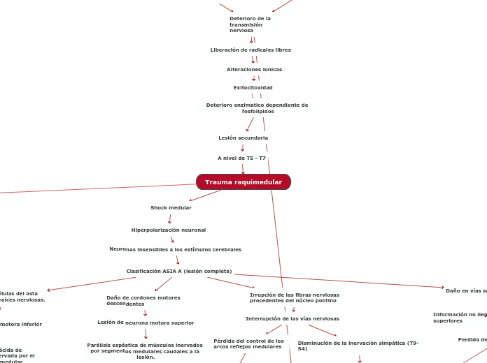 Trauma raquimedular - Mind Map
