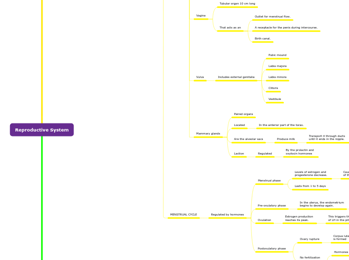 Reproductive System - Mind Map