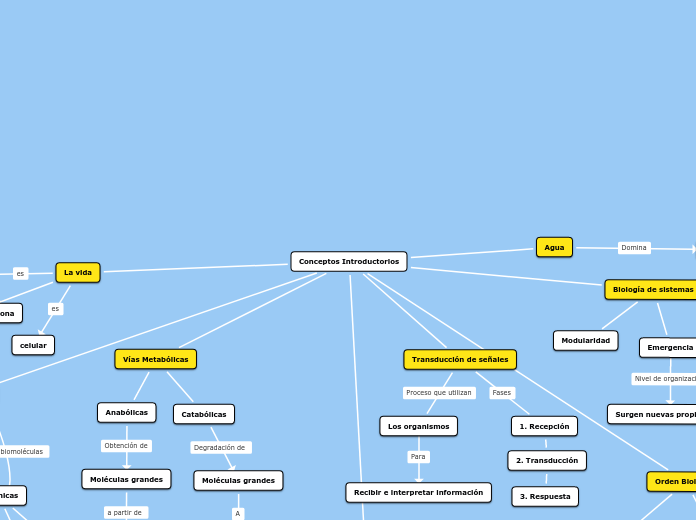 Conceptos Introductorios - Mind Map