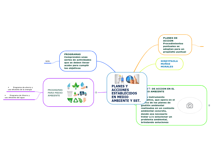 PLANES Y ACCIONES ESTABLECIDOS EN MEDIO AM...- Mind Map