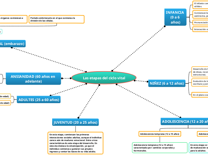 Las etapas del ciclo vital - Mind Map