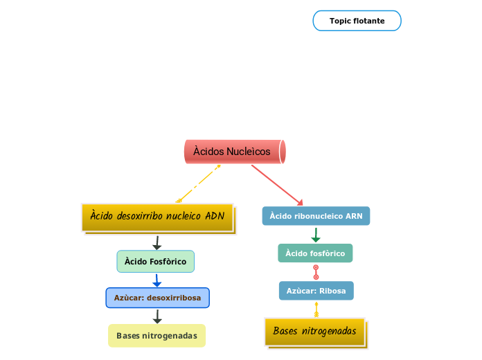 Àcidos Nucleìcos - Mind Map