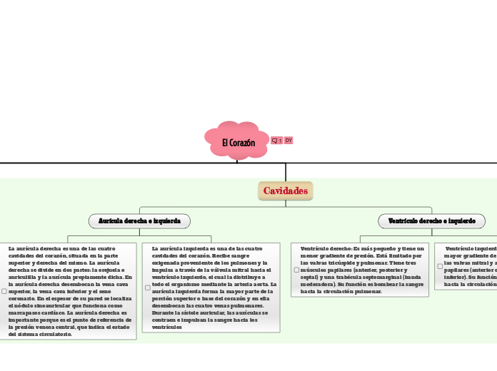 El Corazón - Mind Map