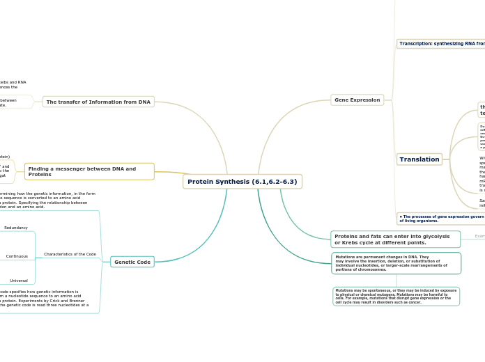 Protein Synthesis (6.1,6.2-6.3) - Mind Map