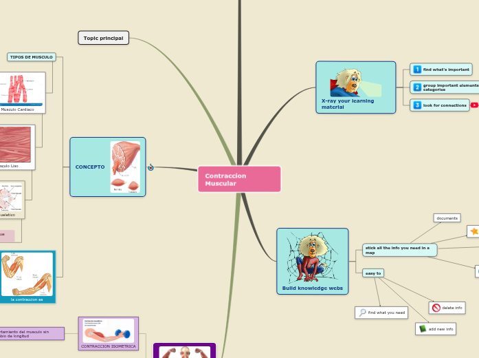 contraccion muscular - Mind Map