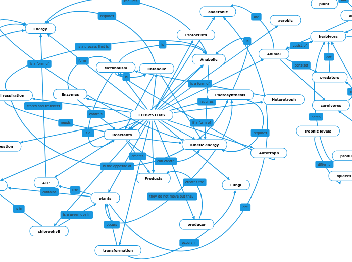 ECOSYSTEMS - Mind Map