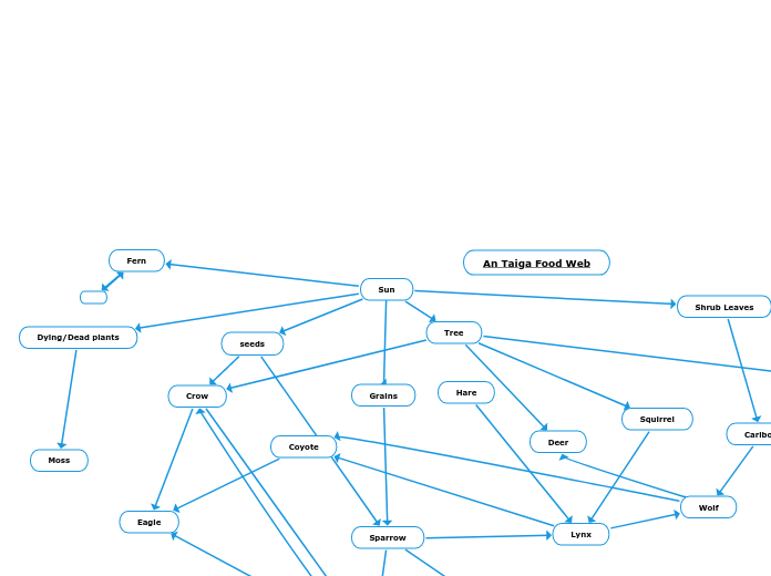 An Taiga Food Web - Mind Map