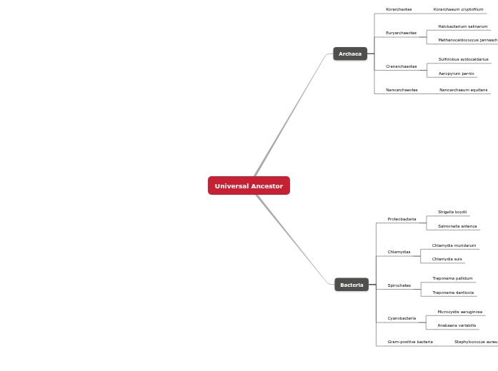 Phylogenic Tree Archaea and Bacteria - Mind Map