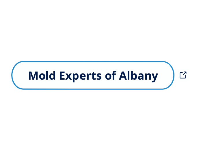 Mold Experts of Albany - Mind Map