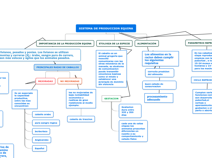 Sistema de Produccion Equina - Mind Map