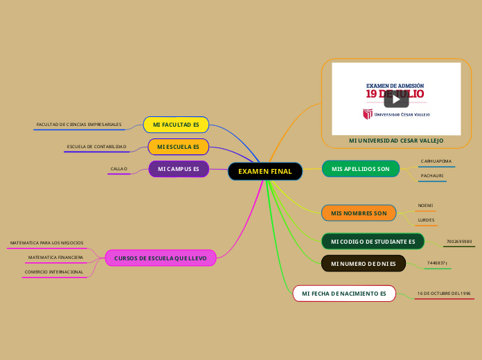 EXAMEN FINAL - Mind Map