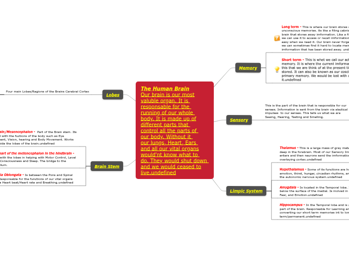 The Human Brain - Mind Map