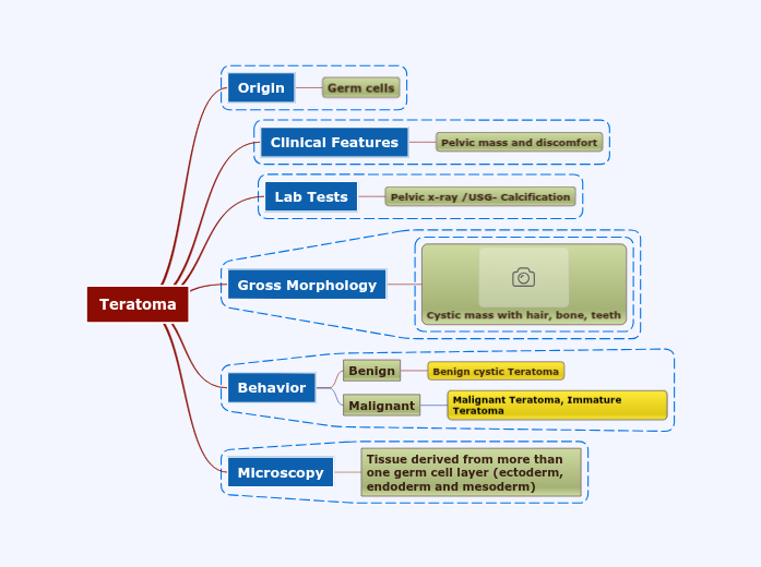 teratoma - Mind Map