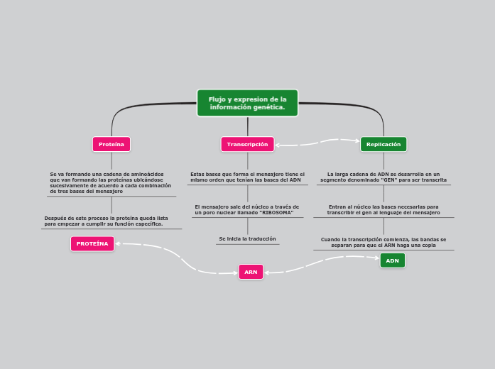 Flujo genético. - Mind Map
