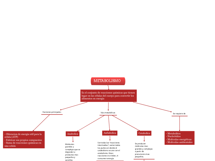 METABOLISMO - Mind Map
