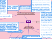 ADN - Concept Map