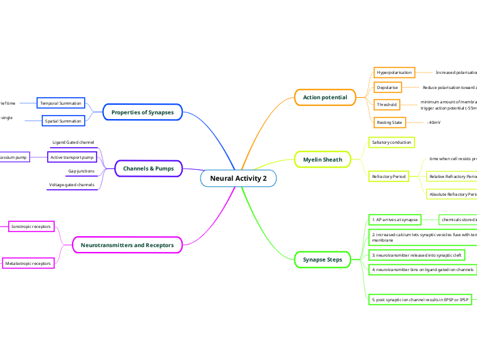 Neural Activity 2 - Mind Map