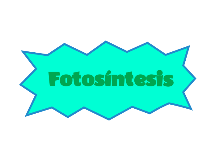 Fotosíntesis - Mind Map