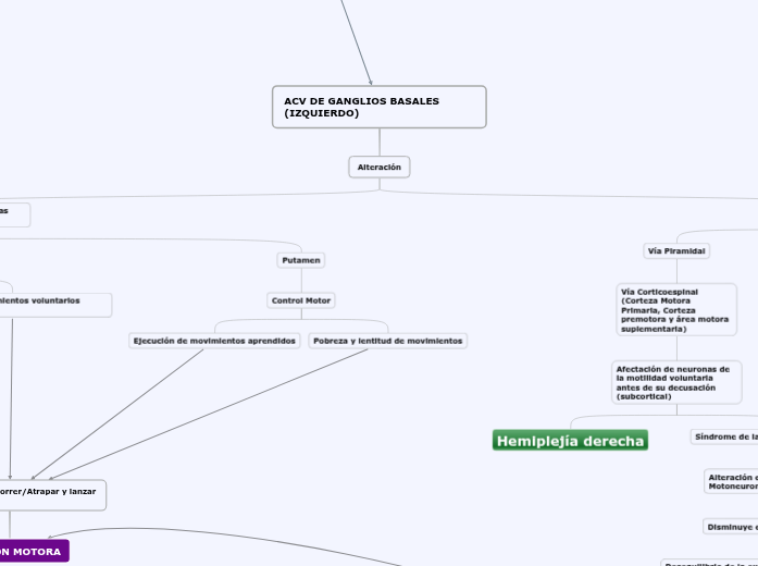 EJERCICIO 2 - Mind Map