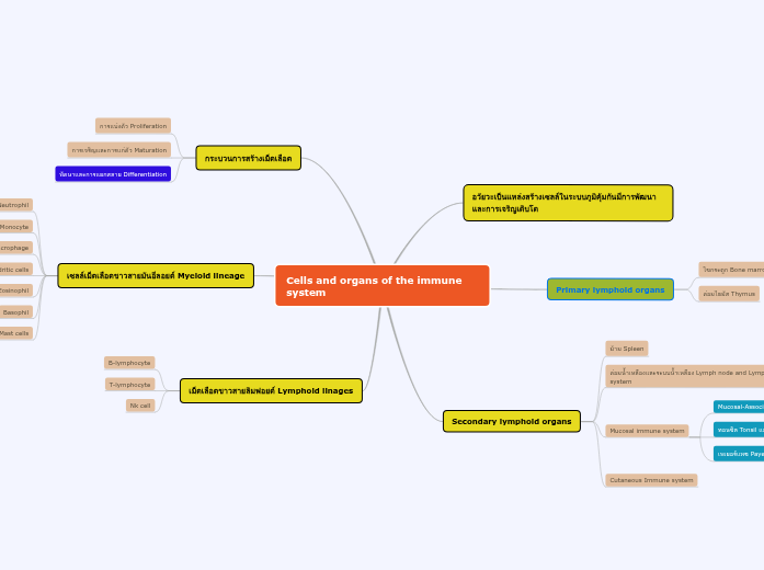 Cells and organs of the immune system - Mind Map