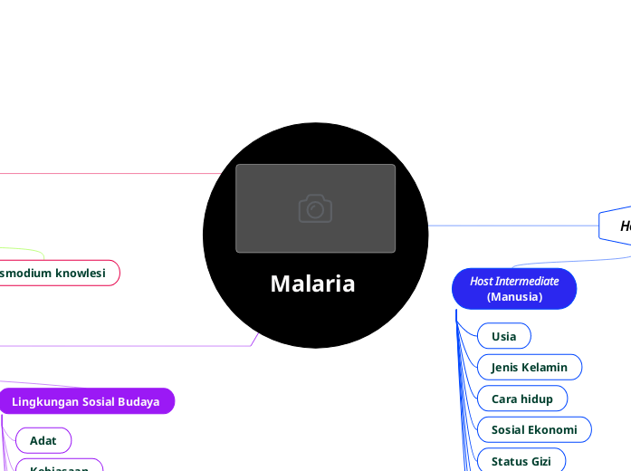 Malaria - Mind Map