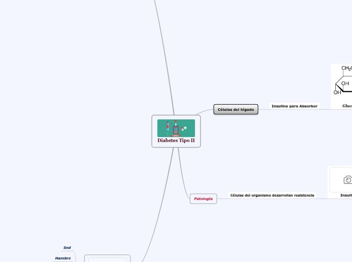 Diabetes Tipo II - Mind Map