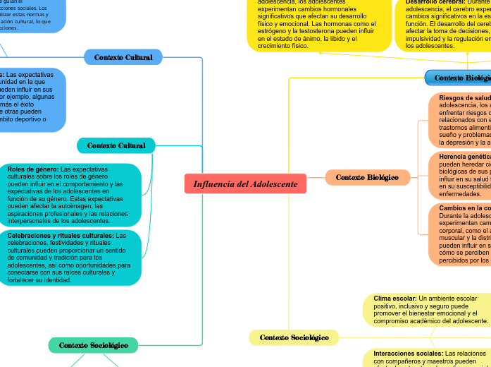 Influencia del Adolescente - Mindmap - Voorbeeld