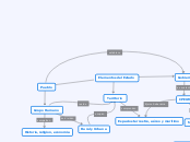 Elementos del Estado - Concept Map